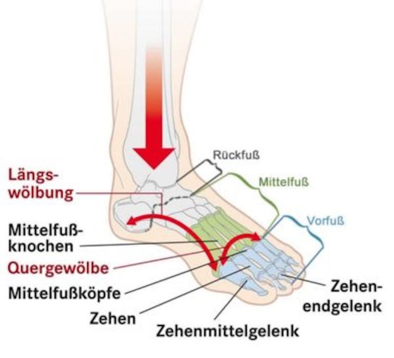 Hallux valgus - PHYSIOZENTRUM