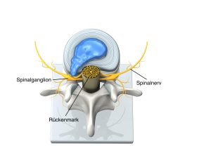 Radikulopathie der Halswirbelsäule - PHYSIOZENTRUM